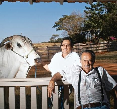 O de legado uma lenda - Dinheiro Rural