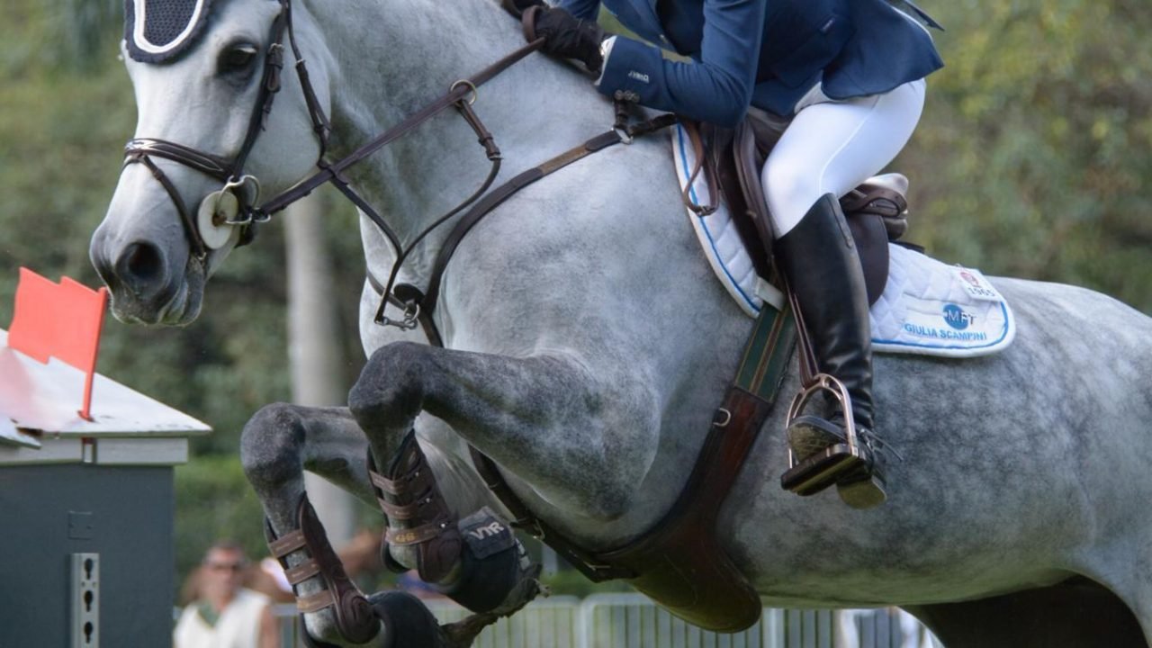 Primeira seletiva de hipismo rumo ao Americano da Juventude apresenta ...
