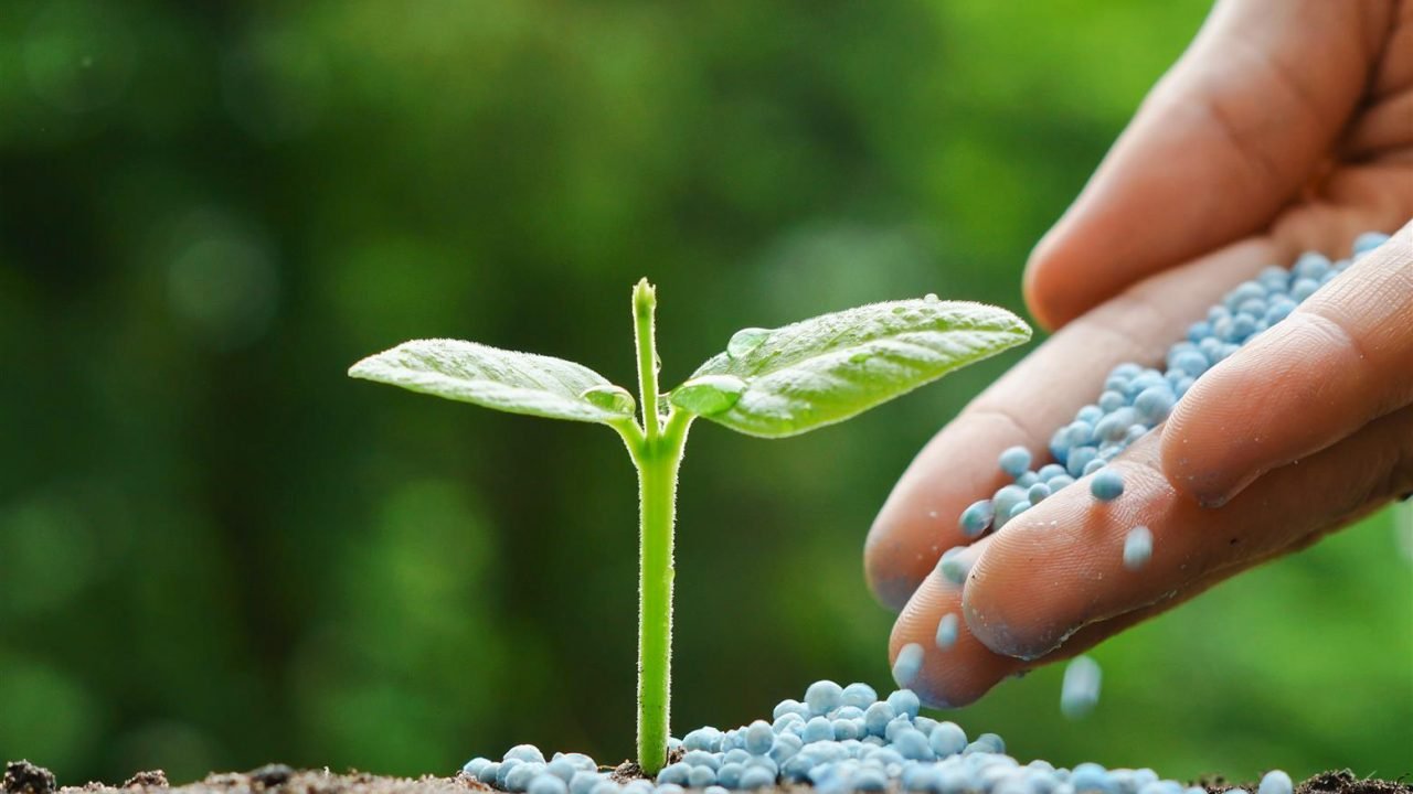 Cibrafertil sela parceria com a Nap IT para modernizar infraestrutura ...