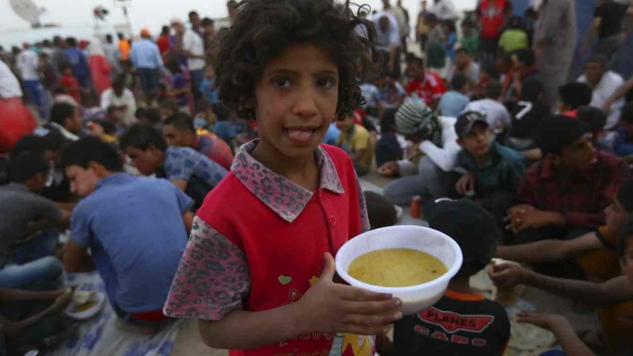 Uma única pessoa passando fome em 2019 'ainda é muito', diz cientista ...